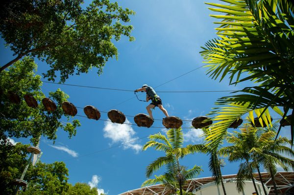 TREETOP TREKKING MIAMI - Updated November 2024 - 22 Photos & 18 Reviews ...