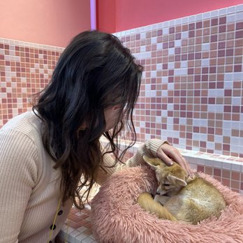 HARAJUKU ZOO LAND - Updated October 2025 - 22 Photos - 神宮前1-6-12, 渋谷区 ...