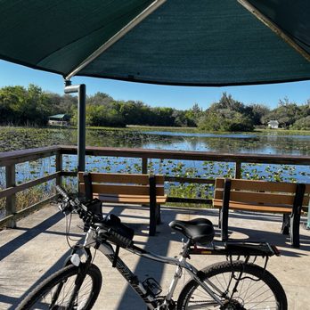 TREE TOPS PARK - Updated March 2025 - 818 Photos & 127 Reviews - 3900 ...