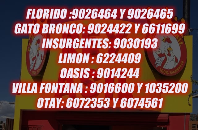 POLLO REY ASIL - Updated July 2024 - 12 Photos - Blvd. Casa Blanca ...