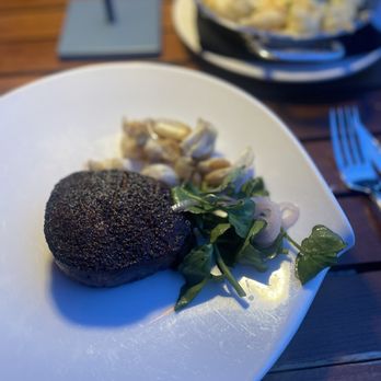 STEAK 954 - Updated January 2025 - 2013 Photos & 1266 Reviews - 401 N ...