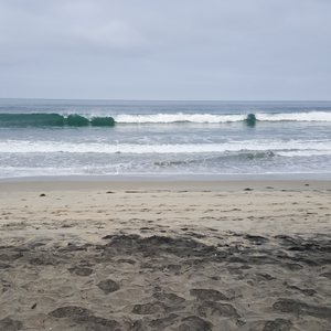 SOUTH PONTO BEACH - 120 Photos & 42 Reviews - La Costa Ave Hwy 101 ...