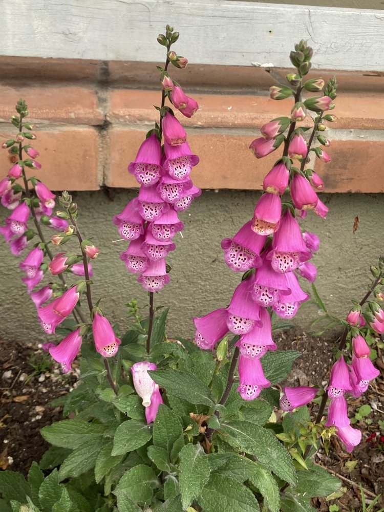 SOUL-O FARMER SOCAL - Updated May 2024 - Request a Quote - 24 Photos ...