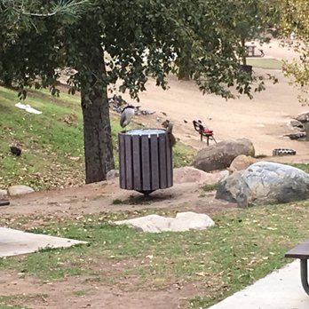 RANCHO SIMI COMMUNITY PARK - Updated August 2024 - 60 Photos & 18 ...