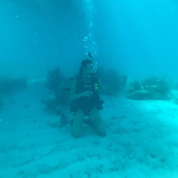 SCUBA OUTFITTERS - Updated December 2025 - 65 Photos & 10 Reviews ...