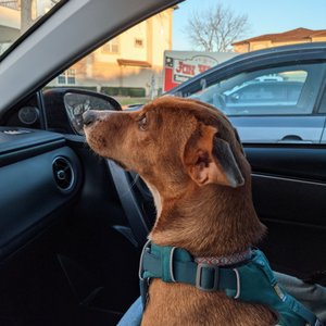 DEERFIELD ANIMAL HOSPITAL - Updated August 2025 - 36 Photos & 96 ...