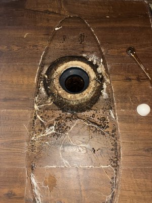 PERRY PLUMBING & PIPELINING - Updated June 2026 - 99 Photos & 206 ...