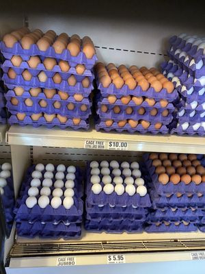 GOLDEN FRESH EGG RANCH - Updated October 2025 - 58 Photos & 81 Reviews ...