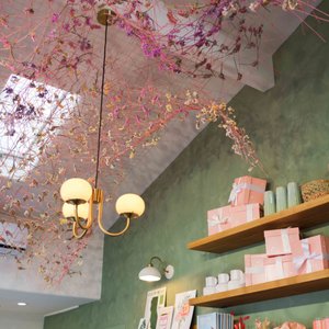 NATIVE POPPY - Updated November 2024 - 84 Photos - 5841 Mission Gorge ...