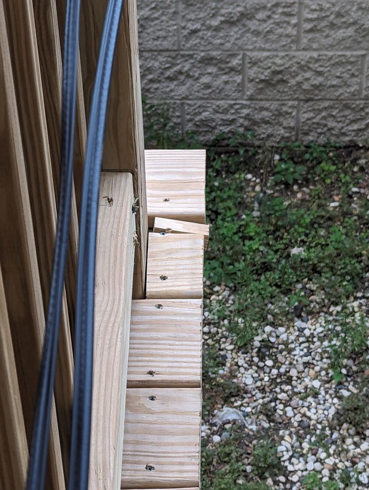 MR PORCH - Updated December 2025 - 295 Photos & 70 Reviews - 1467 N ...