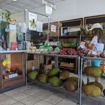 COCOCANE - 2107 Photos & 1306 Reviews - 14338 Brookhurst St, Garden ...