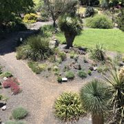 JC RAULSTON ARBORETUM - 523 Photos & 96 Reviews - 4415 Beryl Rd ...