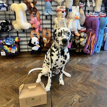 LE MARCEL BAKERY FOR DOGS - Updated January 2026 - 278 Photos & 170 ...