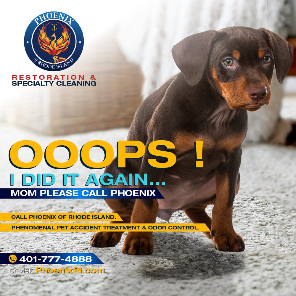 PHOENIX OF RHODE ISLAND - Updated April 2025 - 20 Photos - Cranston ...