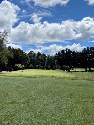 HILO MUNICIPAL GOLF COURSE - Updated October 2024 - 22 Photos & 14 ...