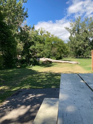 RILEY PARK - Updated June 2024 - 17 Photos & 11 Reviews - 800 12 St NW ...