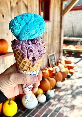 HORNSTRA FARMS - Updated July 2025 - 84 Photos & 75 Reviews - 246 ...