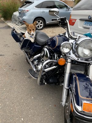 FREEDOM ROAD HARLEY-DAVIDSON - Updated December 2025 - 22 Photos & 19 ...