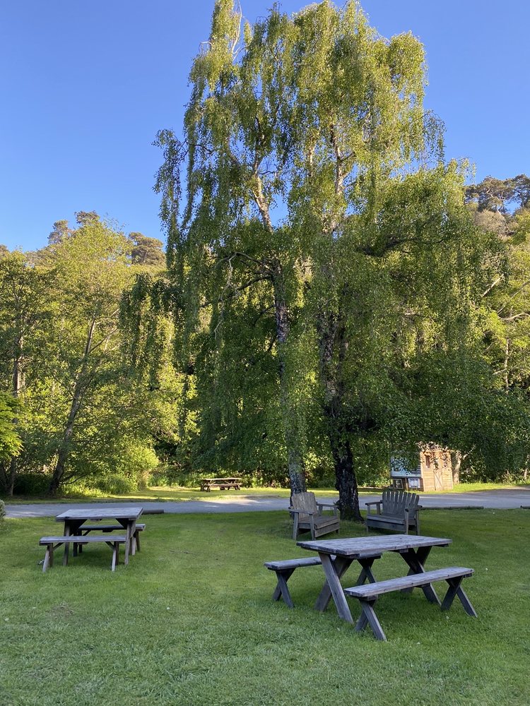 COTTAGES AT POINT REYES SEASHORE - 24 Photos & 77 Reviews - 13275 Sir ...