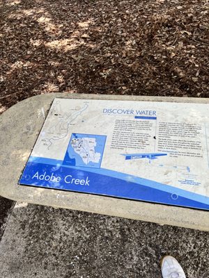 SHOUP PARK - 98 Photos & 63 Reviews - 400 University Ave, Los Altos ...