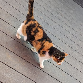 THE ORANGE WORKS - Updated May 2024 - 204 Photos & 312 Reviews - 22314 ...