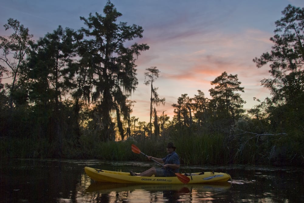 NEW ORLEANS KAYAK SWAMP TOURS - Updated March 2025 - 57 Photos & 14 ...