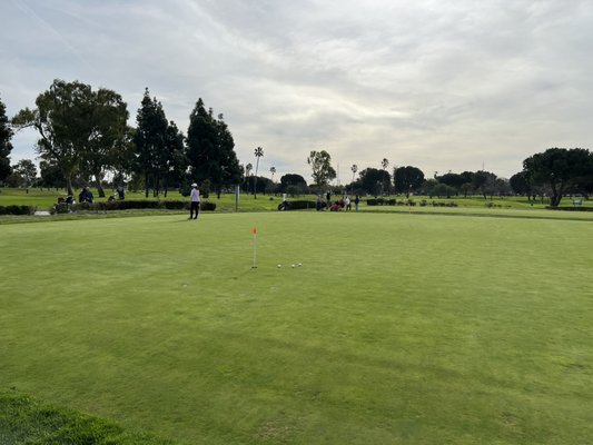 ALONDRA PARK GOLF COURSE - 51 Photos & 111 Reviews - 16400 South ...