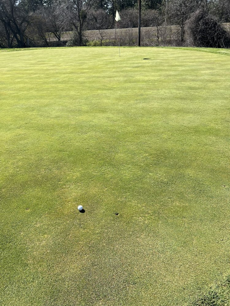 SKYWAY GOLF PARK - Updated January 2026 - 20 Reviews - 1 Longest Dr ...