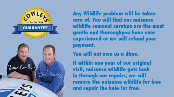 COWLEYS PEST SERVICES - Updated December 2025 - 95 Photos & 31 Reviews ...