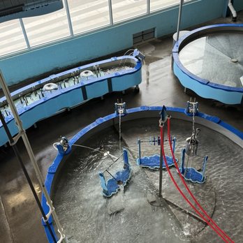 IMPRESSION 5 SCIENCE CENTER - Updated January 2026 - 76 Photos & 49 ...