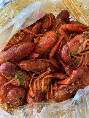 THE CAJUN SHACK - Updated May 2025 - 36 Photos & 51 Reviews - 1701 ...