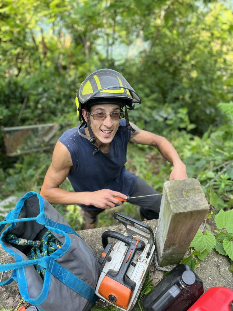 MURPHYS TREE - Updated September 2025 - 70 Photos - Burt, New York ...