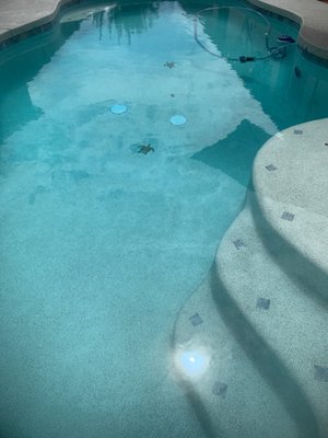 TRILOGY POOLS SERVICE & REPAIR - Updated September 2025 - 12 Photos ...