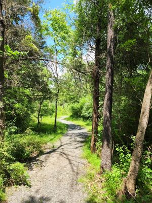 SILVER LAKE REGIONAL PARK - Updated May 2026 - 38 Photos & 14 Reviews ...