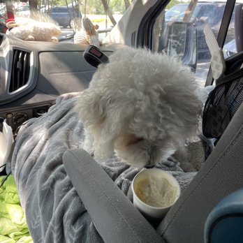 MCLEOD FARMS ROADSIDE MARKET - Updated August 2025 - 98 Photos & 57 Reviews - 29247 Hwy 151, Mc ...