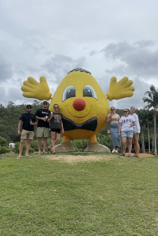 FROSTY MANGO - Updated May 2026 - 45653 Bruce Hwy, Townsville ...