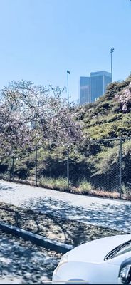 MIGUEL CONTRERAS LEARNING COMPLEX - Updated August 2025 - 22 Photos ...