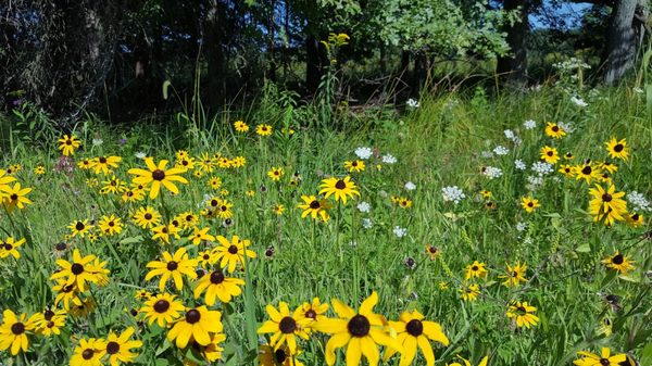 SANDY RIDGE RESERVATION - Updated August 2024 - 19 Photos - 6195 Otten ...