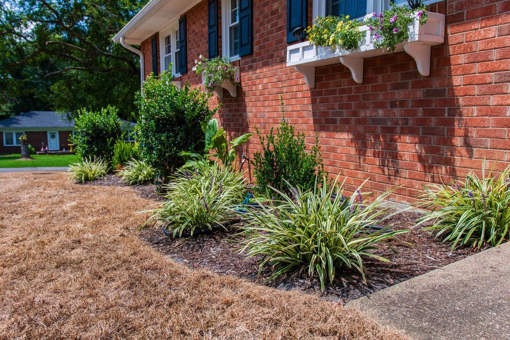 NEXT LEVEL LAWN AND HARDSCAPE - Updated August 2025 - 185 East Finch ...