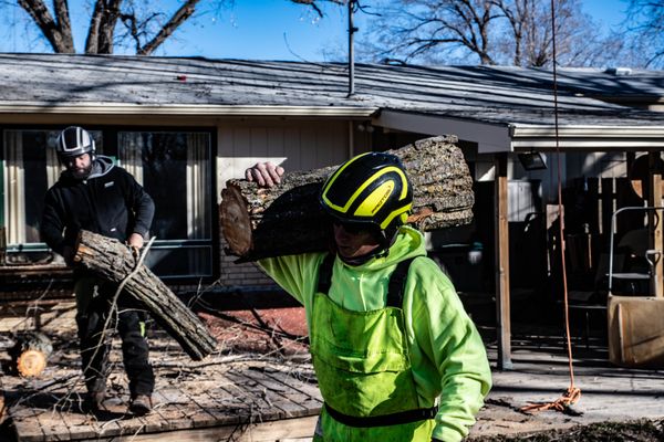 WICHITA TREE SERVICE - Updated January 2026 - 50 Photos & 18 Real ...