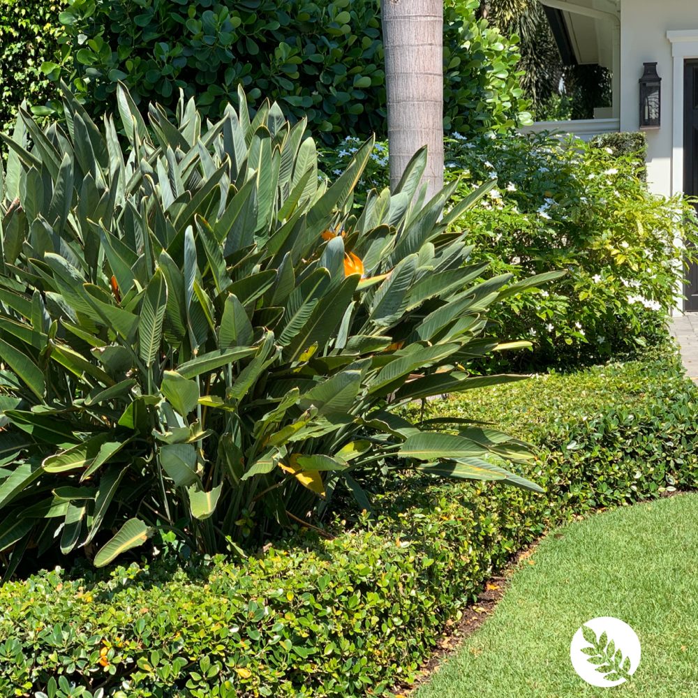 COASTAL LAWN - Updated March 2024 - 61 Photos - Boca Raton, Florida ...