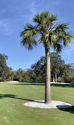 RIVIERA COUNTRY CLUB - Updated December 2025 - 25 Photos & 19 Reviews ...