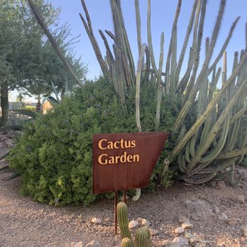 GLENDALE PUBLIC LIBRARY - Updated February 2025 - 89 Photos & 19 ...