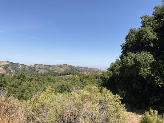 PICCHETTI RANCH OPEN SPACE PRESERVE - 245 Photos & 49 Reviews - 13100 ...