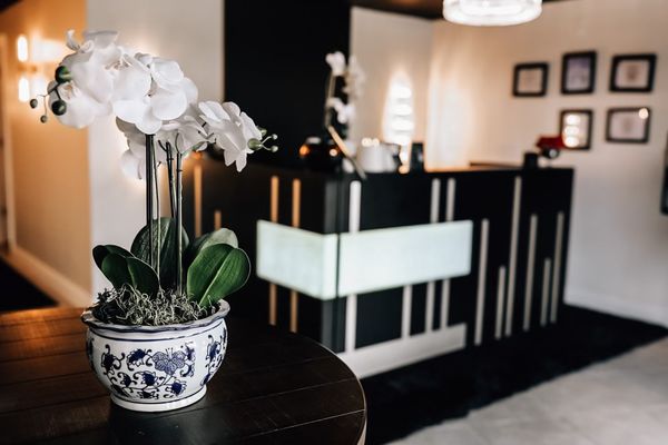 REVIVE BODY LOUNGE - Updated December 2025 - 118 Flamingo Dr, Apollo ...