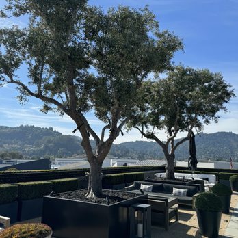 RH MARIN | THE GALLERY AT THE VILLAGE - Updated September 2025 - 197 ...