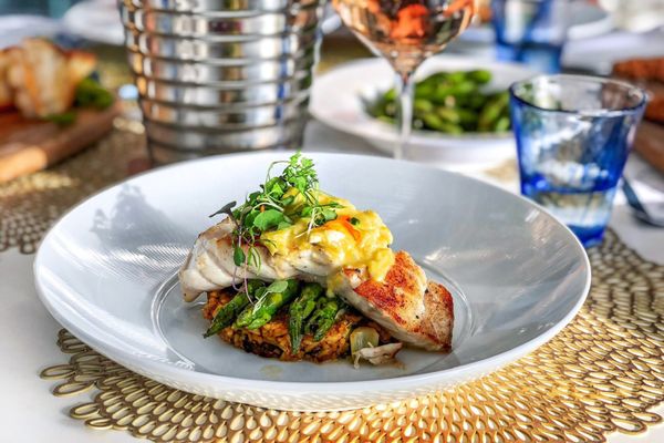 OCEAN HAI - 556 Photos & 285 Reviews - 100 Coronado Dr, Clearwater ...