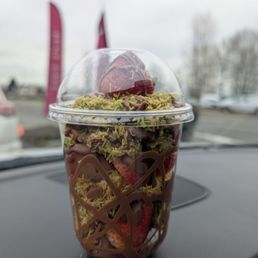 LUNE CAFE - Updated April 2025 - 114 Photos & 78 Reviews - 5148 Auburn ...