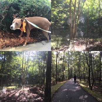 NORTH CHARLESTON WANNAMAKER COUNTY PARK - Updated April 2026 - 134 ...
