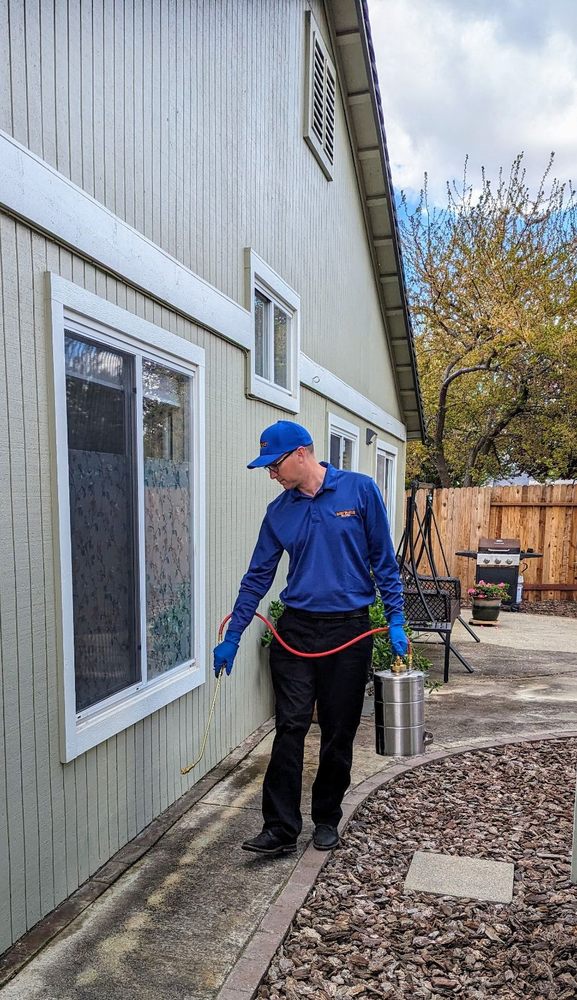 RODENT WRANGLER PEST CONTROL - Updated October 2025 - Marysville ...